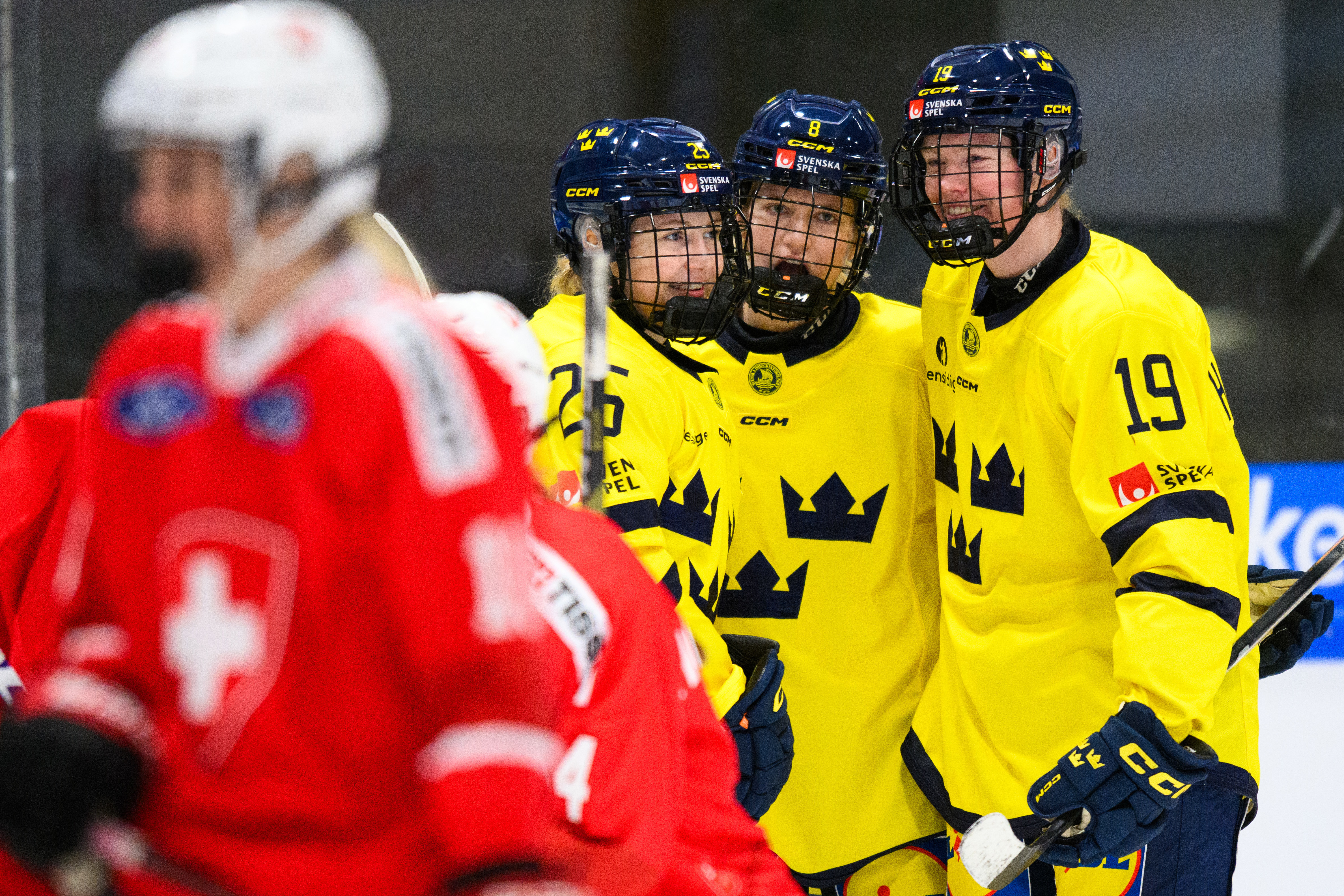 Svenska Ishockeyförbundet