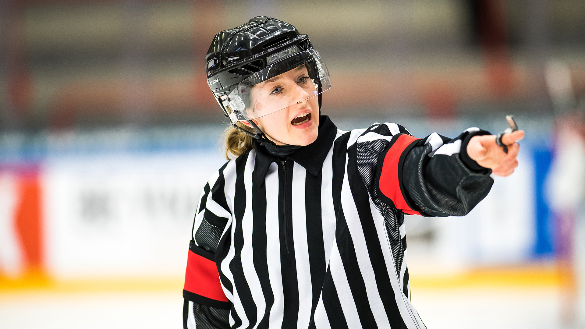 Svenska Ishockeyförbundet